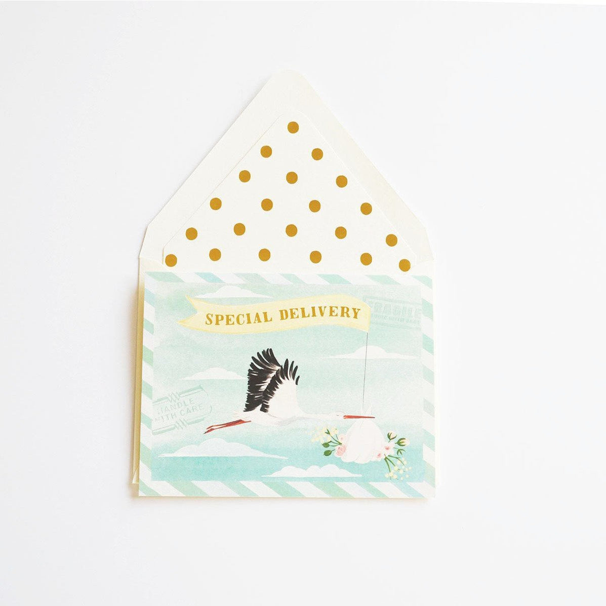 Special Delivery Baby Stork Card | The First Snow