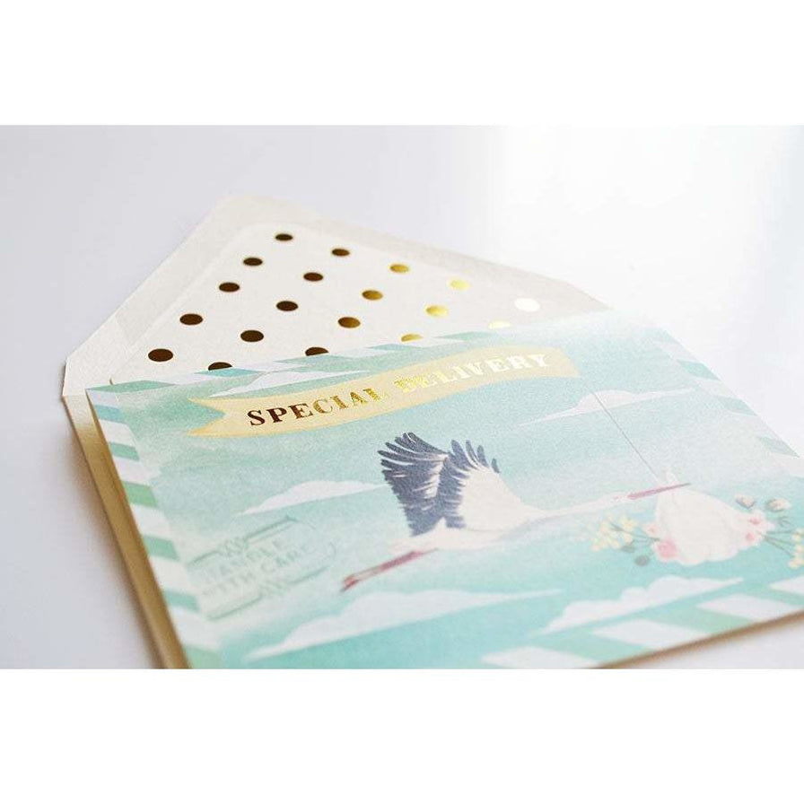 Special Delivery Baby Stork Card | The First Snow